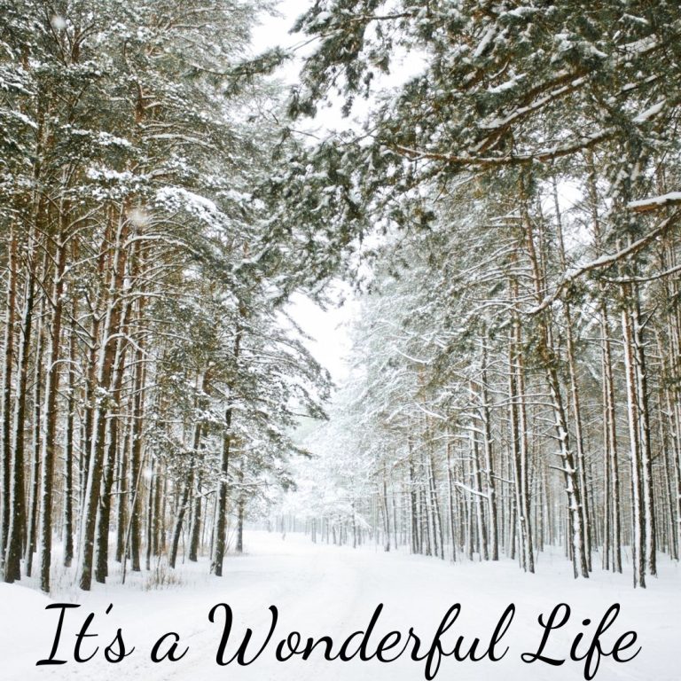 It's A Wonderful Life: The Classic Christmas Film - The Christmas Joy